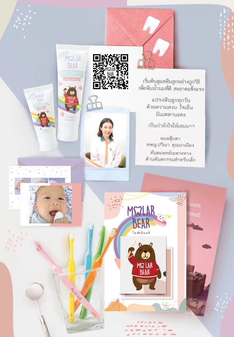 แผ่นพับวิธีใช้ – Molar Bear